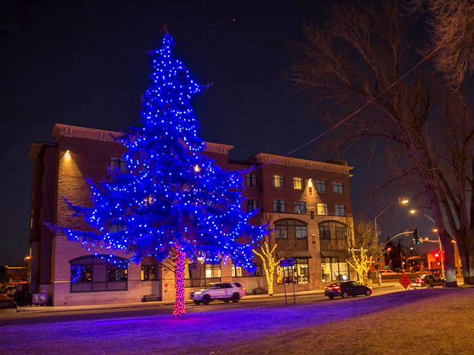The North Pole Experience: It's like Santa's workshop, but with better weather and fewer elf labor disputes.