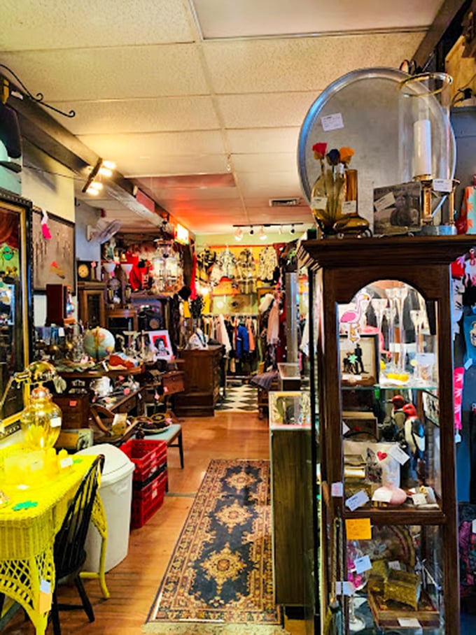 Time-travel in style! Flamingos Divine Vintage: because sometimes you need to channel your inner Audrey Hepburn or David Bowie.