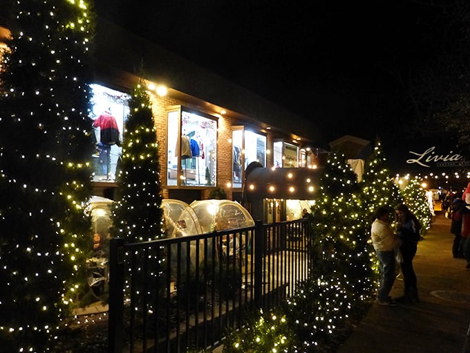 Lights, camera, Christmas! Geneva's holiday makeover would make even Hollywood jealous.