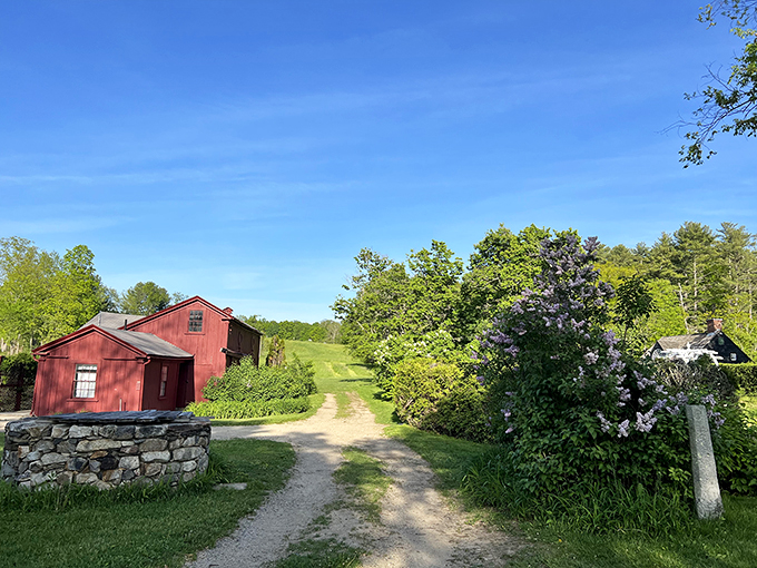 Roadside refinement! This elegant pit stop proves that even gardens can have good breeding.