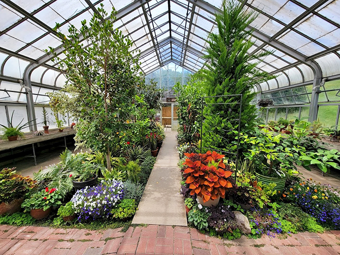 Autumn's canvas at Hidden Lake. Mother Nature's showing off her color palette, and we're here for every brushstroke of golden splendor.
