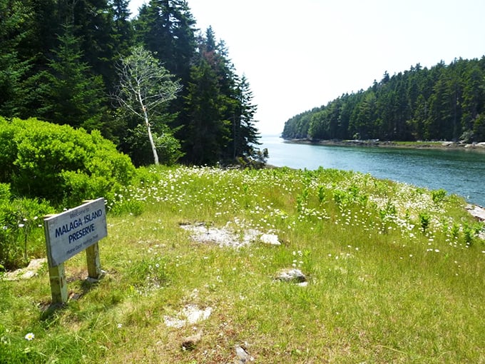 Nature preserve meets open-air museum. Here, every pebble and foundation tells a tale of resilience.