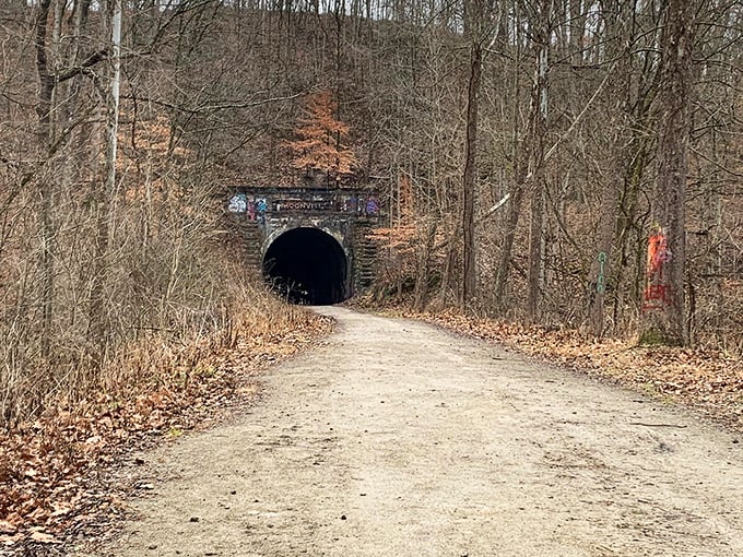 Ghost train coming through! This forest tunnel is the perfect spot for a game of "I spy... something spectral."