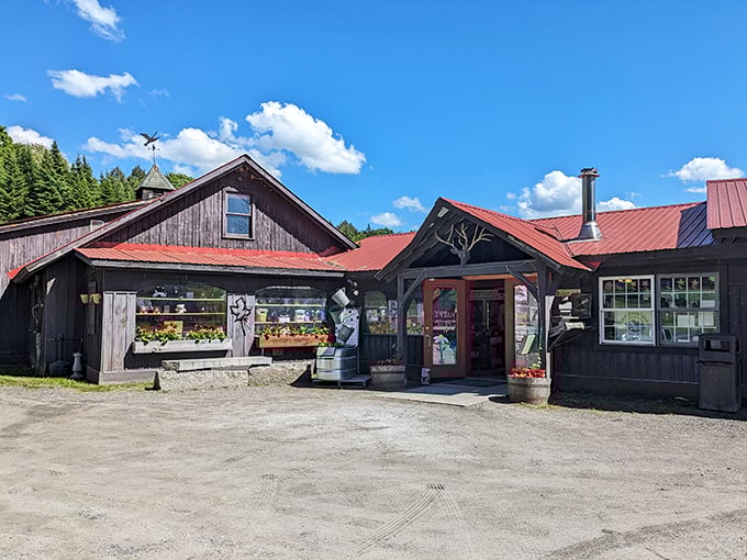 From tree to table, witness the magic of maple and try not to lick the displays. It's harder than you think!