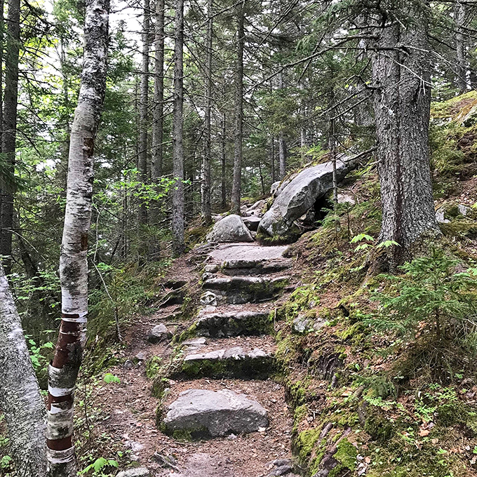 From Owl's Head summit, Vermont unfolds like a green carpet. It's the kind of view that makes you want to cancel your flight and stay forever.