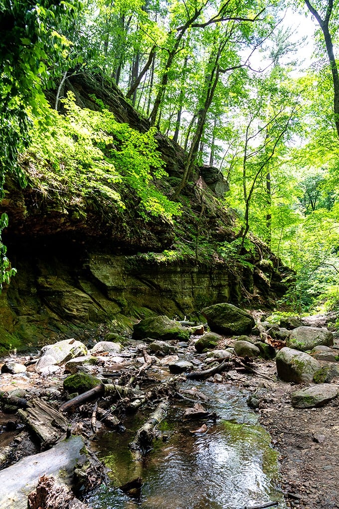 Mini-waterfalls and moss-covered boulders create nature's own obstacle course of beauty.