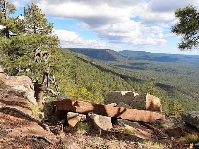 Mountain magic meets small-town charm in Payson, the heart of Arizona's natural beauty.