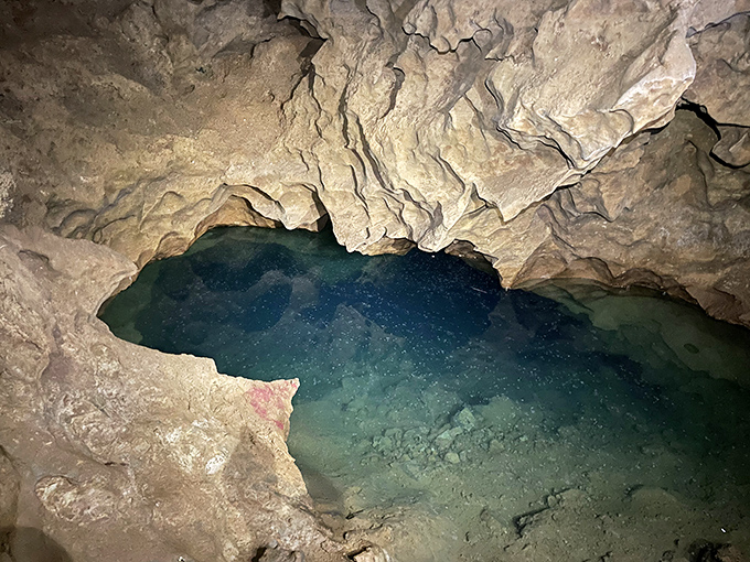 Nature's obstacle course awaits! Just remember, if you get stuck, yelling "Open sesame!" probably won't help.