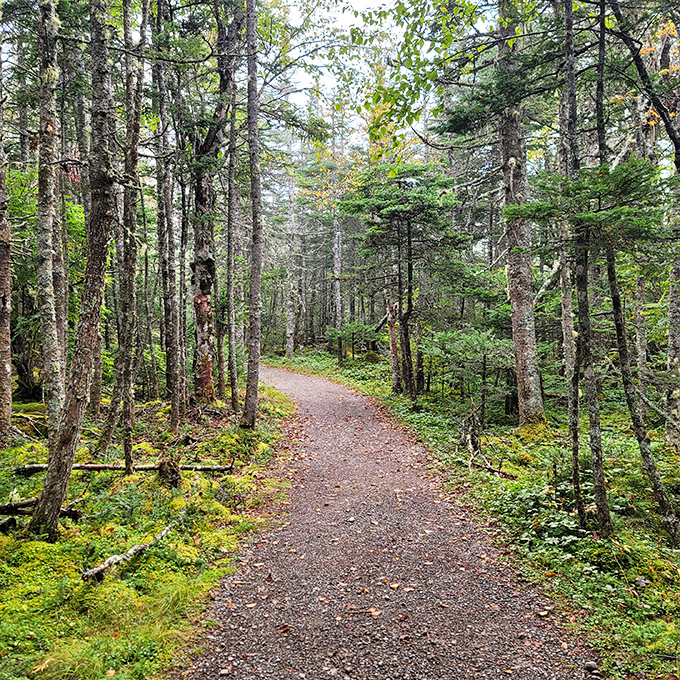 Take a peaceful walk through this lush, mossy forest to the easternmost point&mdash;you'll love the coastal scenery!