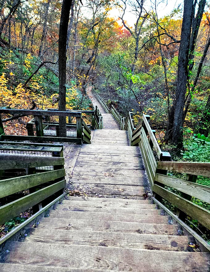 Stairmaster with scenery. Who needs a gym when you've got these trails?