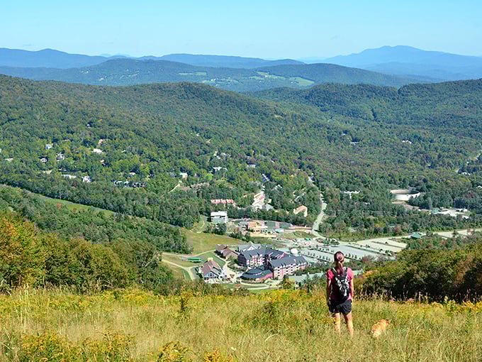 Winter wonderland or summer paradise? At Sugarbush, you don't have to choose &ndash; it's a four-season feast for the eyes!
