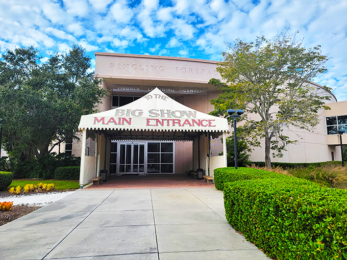 Where else can you see lion tamers and acrobats without worrying about becoming part of the act? Welcome to circus heaven!