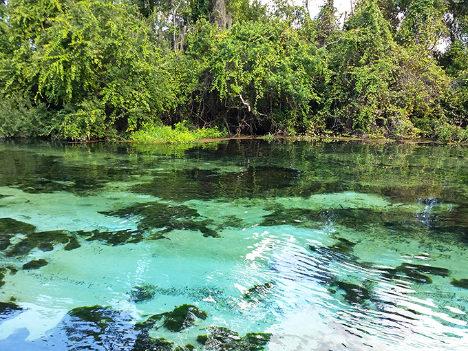Park your car and dive into a world where mermaids rule and water is clearer than your windshield.