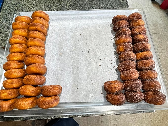Cinnamon sugar-coated temptation alert! These donuts are the reason elastic waistbands were invented. Resistance is futile, my friends.
