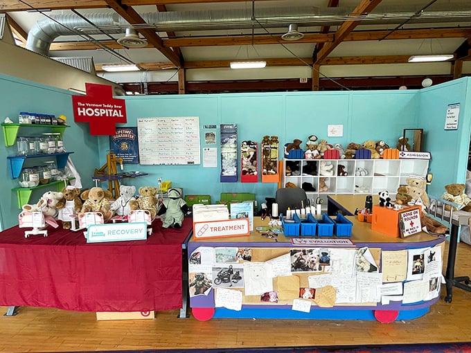 The ER for your childhood bestie! This bear hospital is where stuffed animals go for a little TLC and a lot of love.