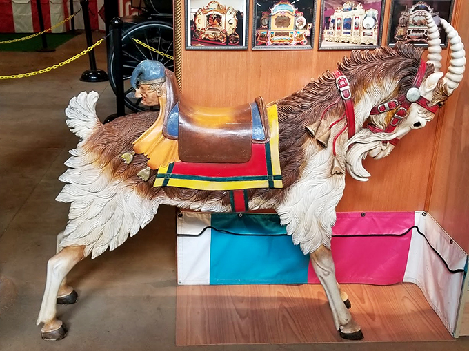 Giddy up, partner! This carousel steed looks ready to gallop right off its pole and into the sunset.