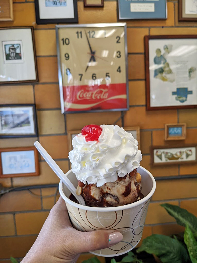 Holy chocolate, Batman! This sundae isn't just dessert, it's a superhero swooping in to save your day from ordinary flavors.