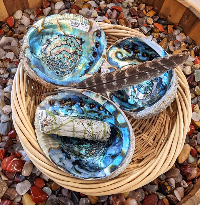 Nature's art gallery on display. These iridescent shells are like the ocean's own Faberg&eacute; eggs.