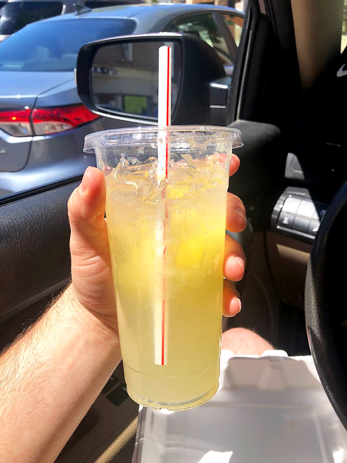 The perfect road trip companion! This zesty lemonade is ready to ride shotgun and keep your taste buds entertained.