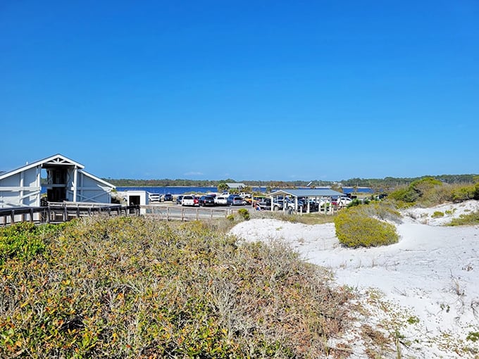 Parking with a view: Even the lot feels like an oasis. Who knew waiting for a spot could be this scenic?