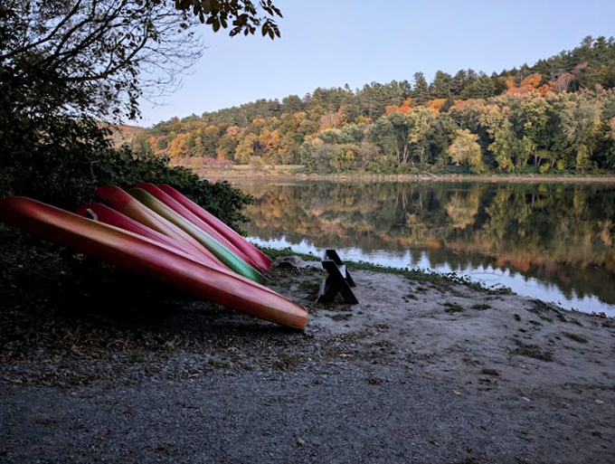 Paddle your way to peace! These colorful canoes are your ticket to exploring Wilgus's waterways. Just don't forget to duck for low-hanging branches!