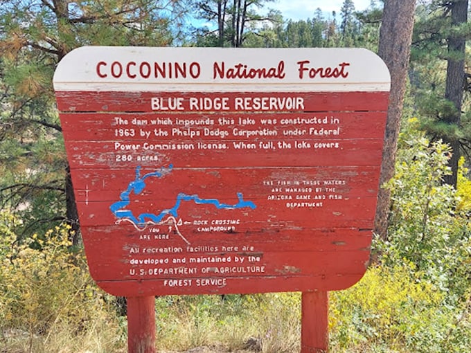 History lesson with a view! This sign tells the tale of Blue Ridge Reservoir, Arizona's own fountain of youth.