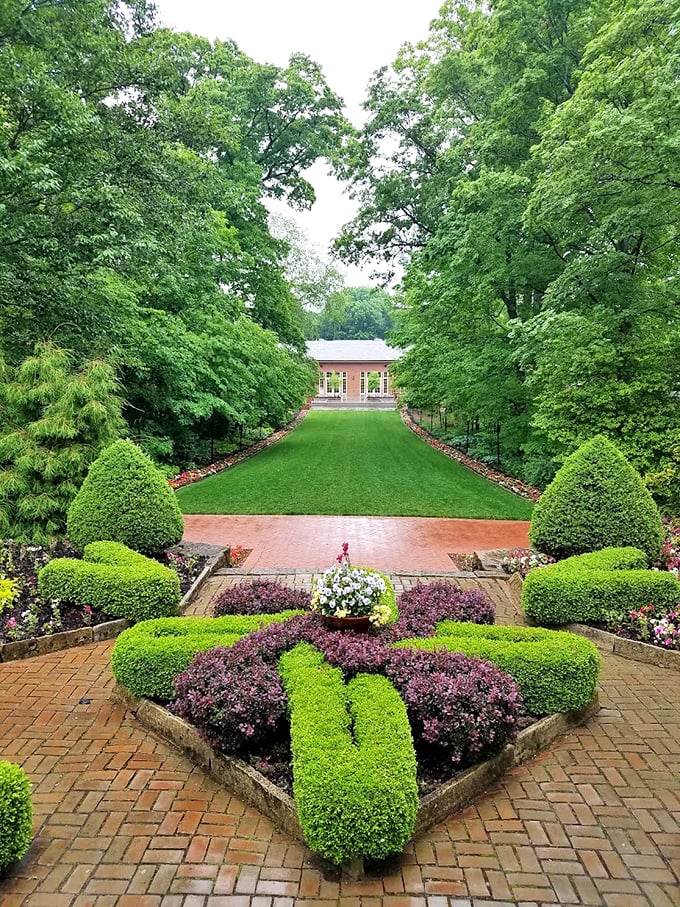 "Nature's red carpet." This verdant pathway leads to a hidden gem. Indiana Jones would trade his fedora for a chance to explore here!