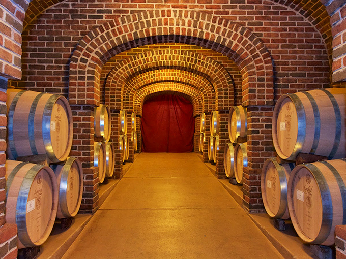 Welcome to the Bat Cave of vino! This brick-arched cellar is where grape dreams come true, one barrel at a time.