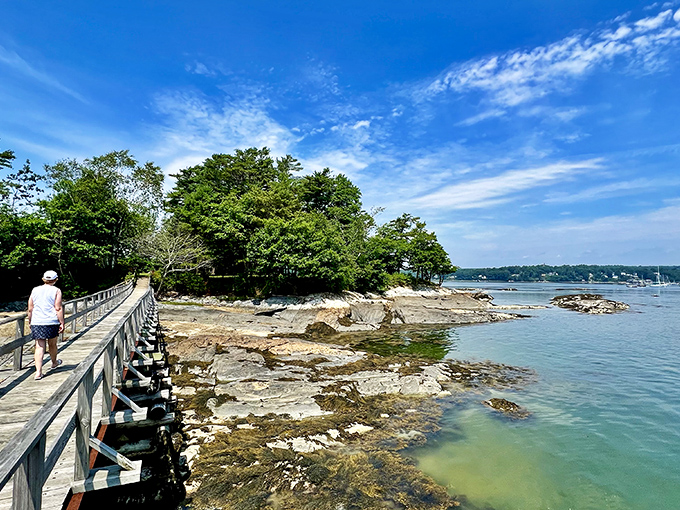 Stroll along nature's red carpet: This boardwalk offers VIP access to breathtaking views and fresh sea breezes.