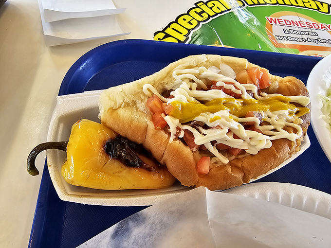 Bun-believable! This hot dog is dressed to impress, wearing more toppings than a sundae at a dessert convention.