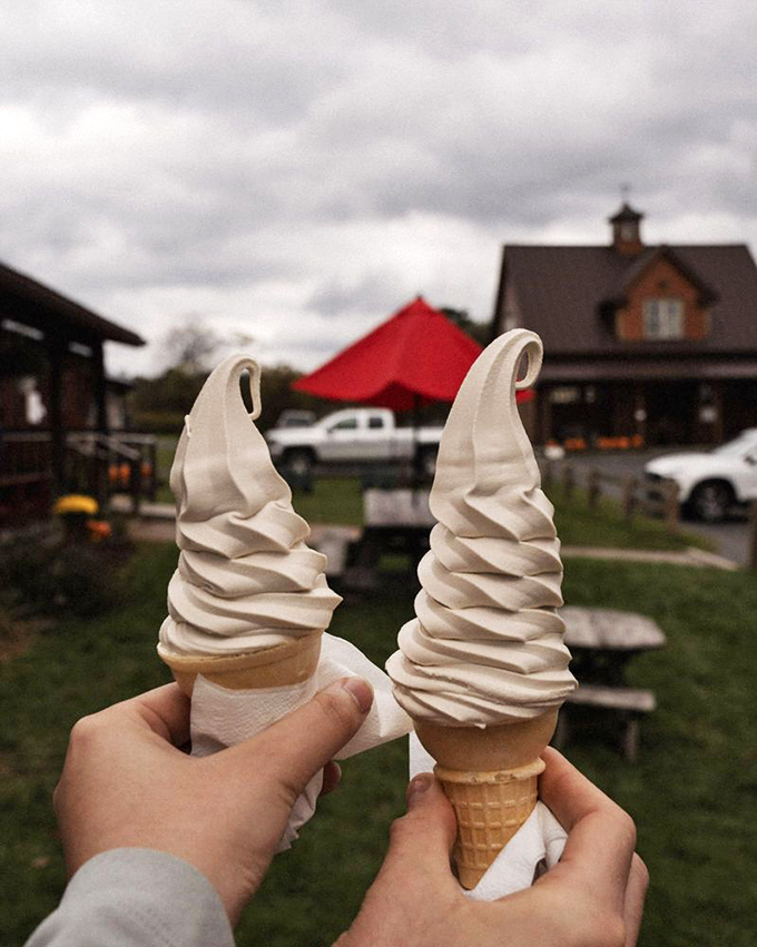 Double the pleasure, double the fun! These twin maple cones are the Olsen twins of frozen treats.