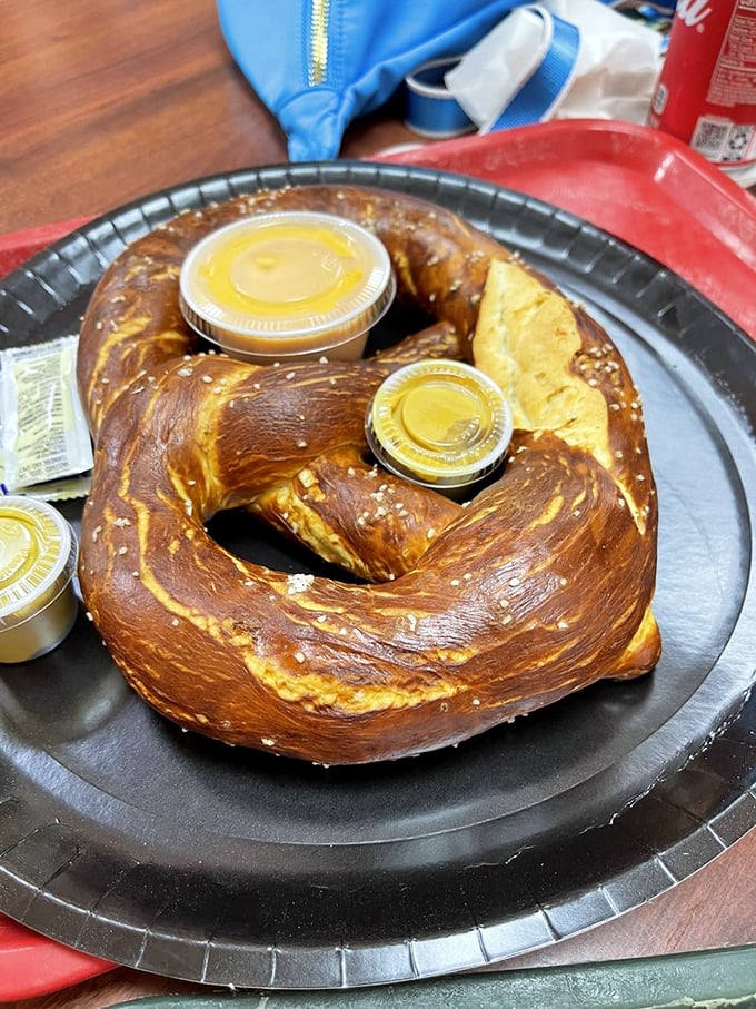 Behold, the pretzel of your dreams! Golden, twisted perfection that's more photogenic than most Instagram influencers.