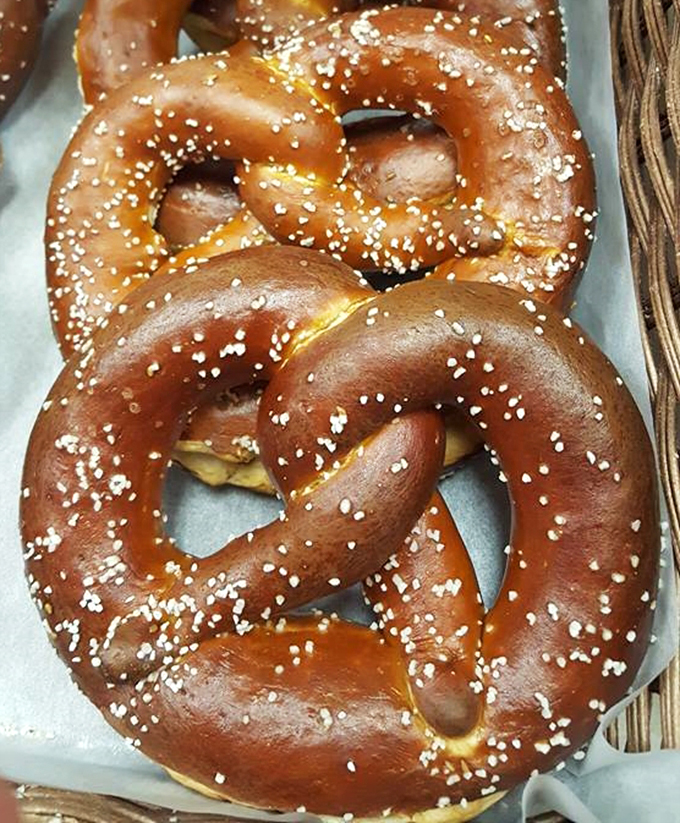Behold, the Bavarian beauty! These pretzels are so authentically German, they might start yodeling if you listen closely enough.
