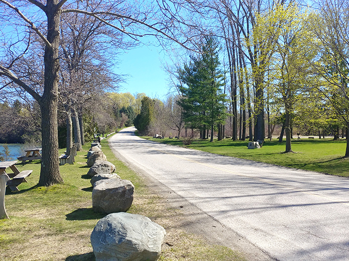 A tree-lined path invites you to explore Charlotte's hidden treasures. No yellow brick road needed.