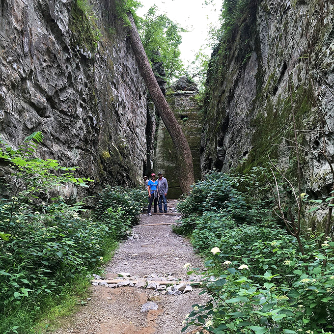 "I think we took a wrong turn at Albuquerque." These hikers look like they've stumbled into nature's own Looney Tunes backdrop.