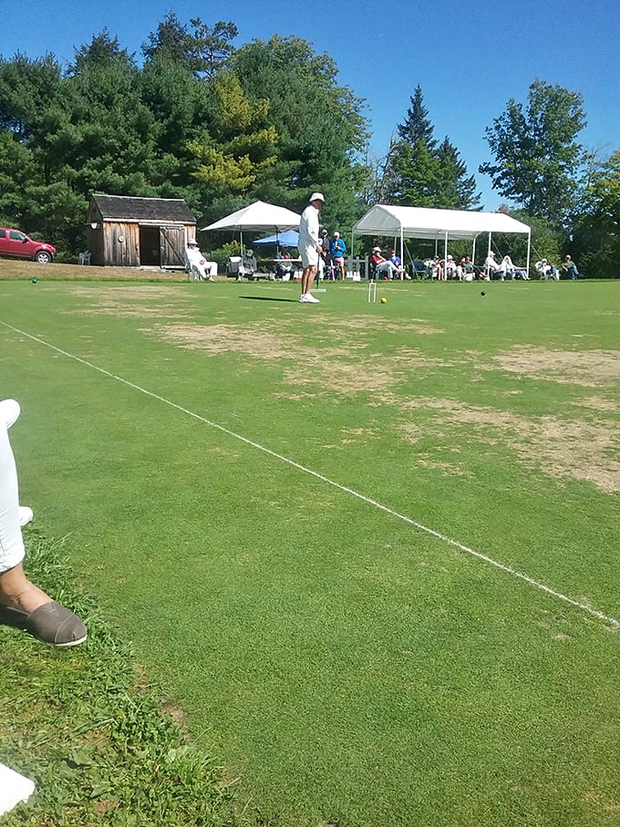 "Croquet: where retirees become sports legends." Watch out Wimbledon, Woodlawn's lawn game scene is giving tennis a run for its money!
