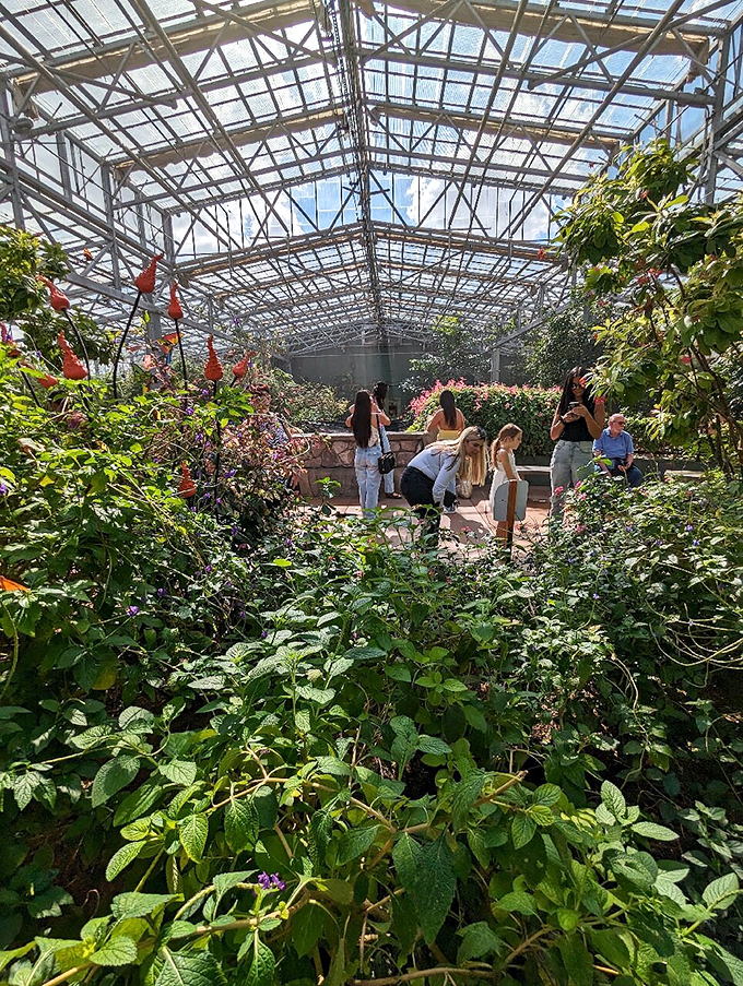 Green thumbs and curious minds unite! This tropical oasis is part garden party, part science class, all wonder.