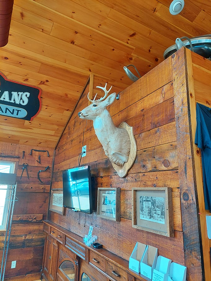 A mounted deer head watches over vintage knick-knacks, creating a uniquely Michigan mash-up of rustic and quirky.