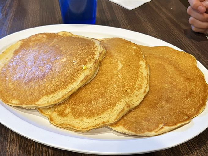 Stack 'em high, watch 'em fly! These pancakes are fluffier than a cloud and more comforting than a warm hug from grandma.