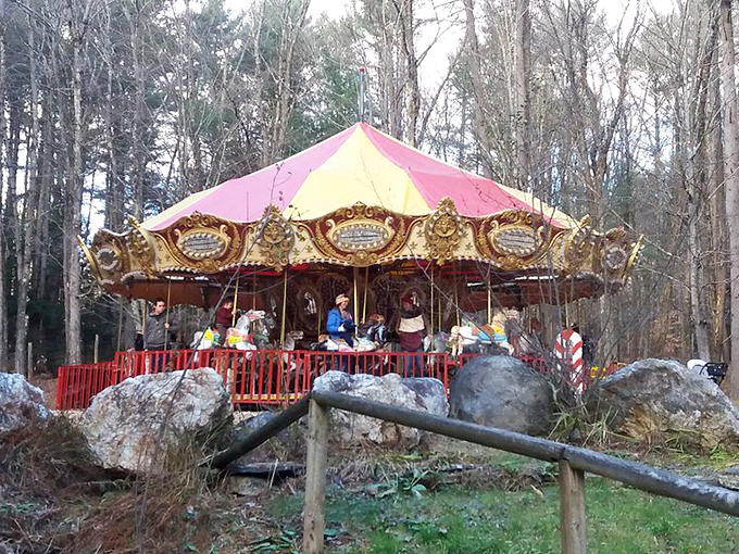 Round and round we go! This classic carousel isn't just horsing around &ndash; it's spreading joy one merry-go-round at a time.