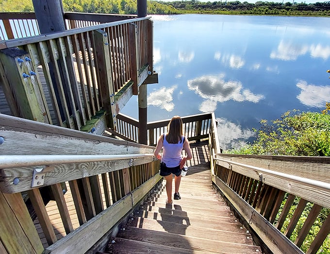 Stairway to heaven... or at least to a pretty awesome view. Each step brings you closer to nature's VIP section.