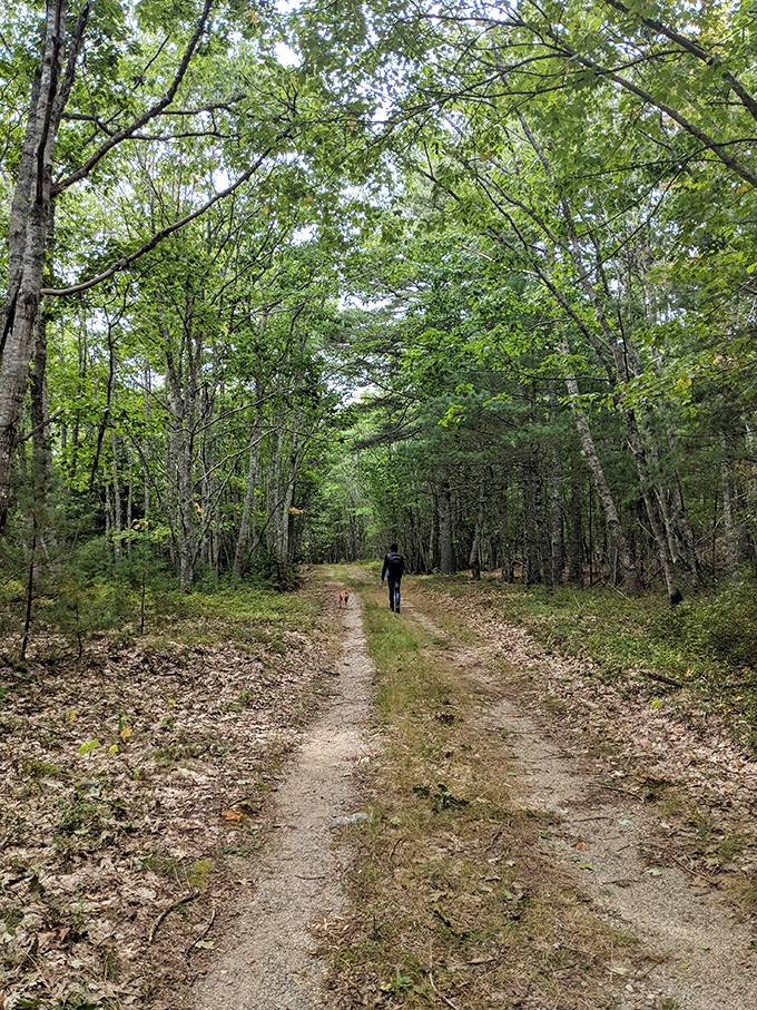 Who needs a gym when you've got nature's treadmill? This trail is serving up views that'll make you forget you're exercising.