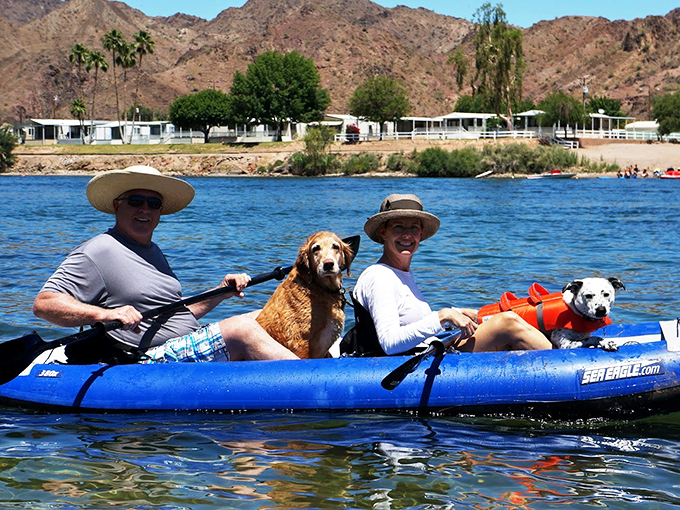 Paddle your way to paradise: Who needs a cruise when you've got kayaks and canines? It's the ultimate "ruff" and tumble water adventure.