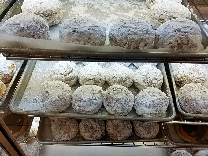 Pączki paradise! These powdered Polish pastries are like little pillows of joy, ready to transport you to dessert utopia.