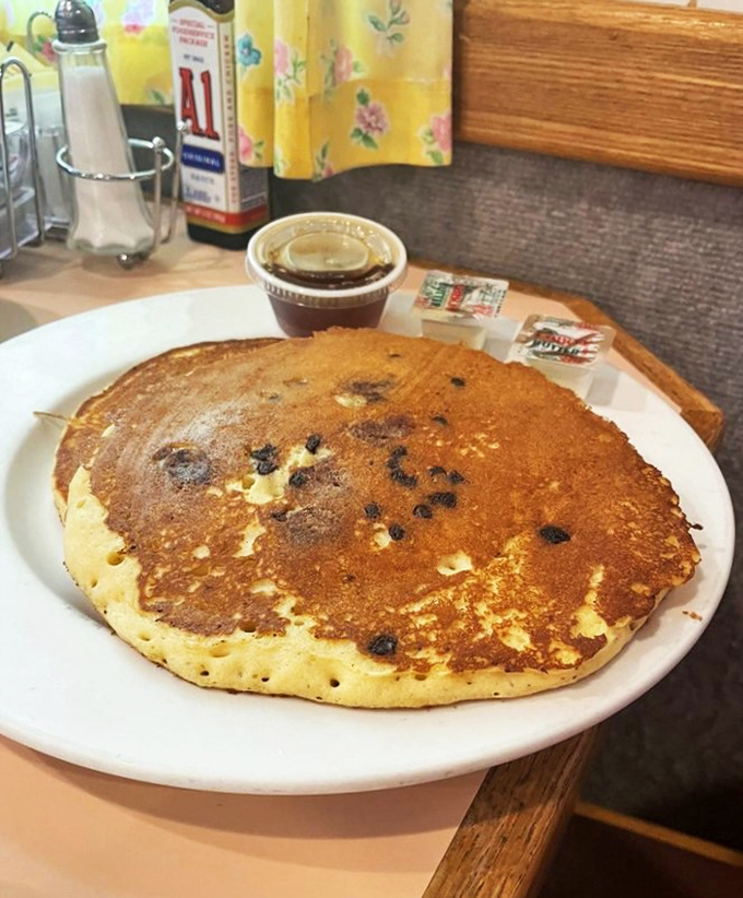 Pancakes or edible frisbees? These fluffy discs of joy are ready to catch any syrup you throw their way.