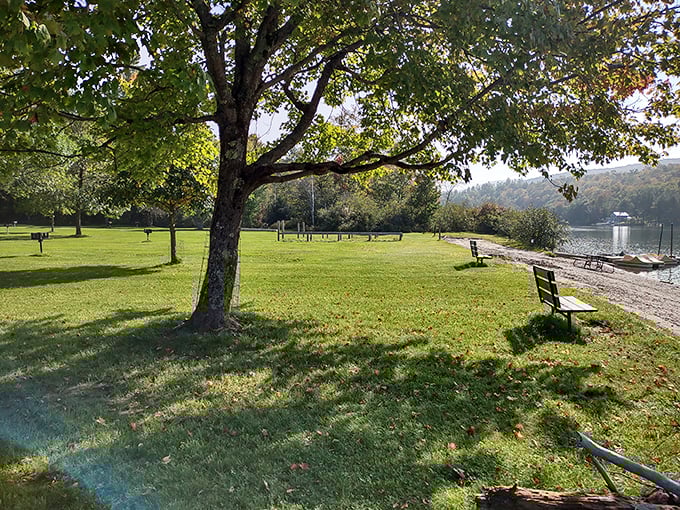 Mother Nature's living room. Towering trees, a serene lake, and inviting benches &ndash; it's like someone decorated the outdoors just for us. Talk about curb appeal!