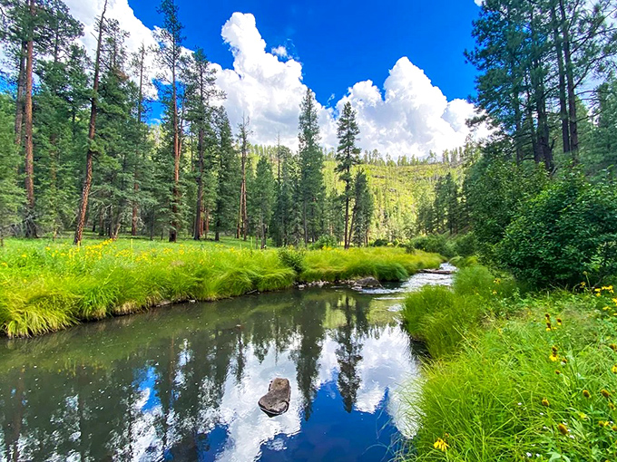 Mother Nature's mirror: This serene stream reflects the sky so perfectly, you'll wonder which way is up.