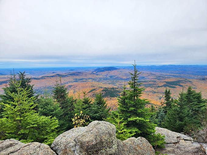 Talk about a room with a view! Mother Nature's panoramic masterpiece puts even the fanciest hotel suites to shame.