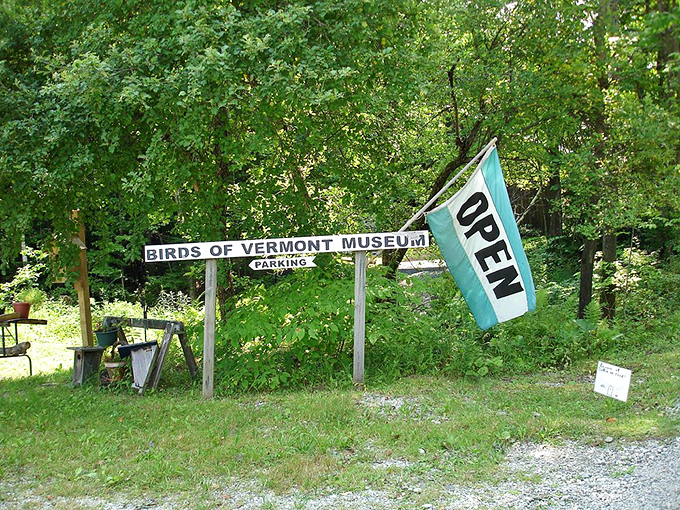 The kind of welcome sign that makes you smile – simple, honest, and pure Vermont, right down to the fluttering "OPEN" flag.