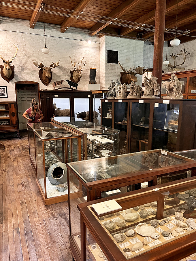 "I spy with my little eye..." A visitor gets up close and personal with history. No touchscreen needed for this interactive experience!